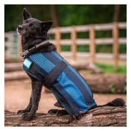 Cool on Track Cooling Dog Coat blau 30 cm