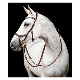 Horseware Micklem 2 Competion Bridle braun X-WB
