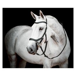 Horseware Micklem 2 Competion Bridle schwarz PONY