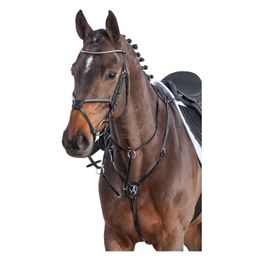 Vorderzeug Jumping schwarz Vollblut