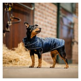 Horseware Hunde-Wintermantel blau S