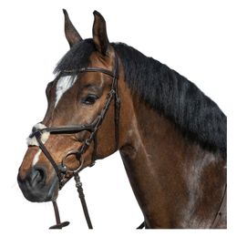 Cheval de Luxe Trensenzaum Miami braun WB