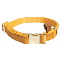 pawberry Hundehalsband Sintra gelb M