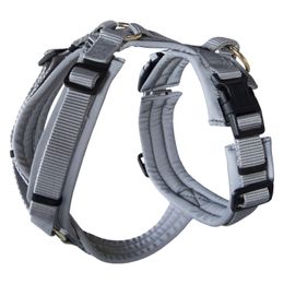 Kentucky Horsewear KENTUCKY Dogwear Hundegeschirr Active XXS