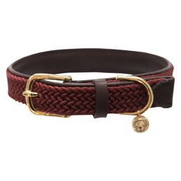 Kentucky Horsewear KENTUCKY DOGWEAR Hundehalsband Plaited Nylon rot M