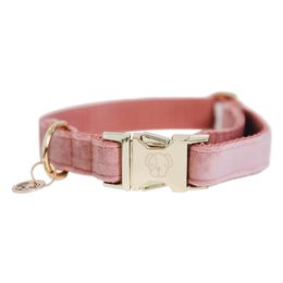 Kentucky Horsewear KENTUCKY DOGWEAR Hundehalsband Velvet rosa S