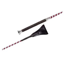 Fleck Springgerte rot 60 cm