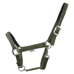 EQUEST Halfter Dual Plus gr&uuml;n PONY