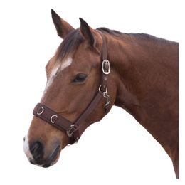 Horse-friends Longier- und Stallhalfter braun SHETTY