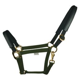 EQUEST Halfter Equi-Stretch gr&uuml;n VB