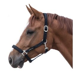 Black Forest Halfter schwarz WB
