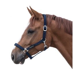 Black Forest Halfter blau SHETTY