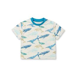 Sense Organics Shirt "Anton" in Creme - 43% | Gr&ouml;&szlig;e 92 | Baby-shirts