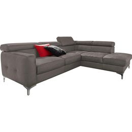 Ecksofa COTTA "Sammy L-Form", grau, B:239cm H:74cm T:207cm, Microfaser Primabelle (100% Polyester);Die R&uuml;ckseite und die Liegefl&auml;che der Bettfunktion in NaturLEDER ist mit schwarzem Spannstoff bezogen, Sofas, Ecksofa, mit Kopfteilverstellung, wahlweise mit Bettfunktion & Bettkasten