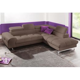 Ecksofa COTTA "Chef L-Form", braun, B:257cm H:72cm T:206cm, Luxus-Microfaser (100% Polyester);Kunstleder Softlux;Leder Advantage (abgedecktes Spalt-Rindsleder), R&uuml;ckseite mit schwarzem Spannstoff bezogen;NaturLEDER (echtes Rindsleder), R&uuml;ckseite mit schwarzem Spannstoff bezogen, Sofas, Ecksofa, mit Kopfteilverstellung, edle Metallkufen, wahlweise mit Bettfunktion