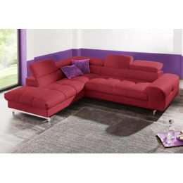 Ecksofa COTTA "Chef L-Form", rot, B:257cm H:72cm T:206cm, Luxus-Microfaser (100% Polyester);Kunstleder Softlux;Leder Advantage (abgedecktes Spalt-Rindsleder), R&uuml;ckseite mit schwarzem Spannstoff bezogen;NaturLEDER (echtes Rindsleder), R&uuml;ckseite mit schwarzem Spannstoff bezogen, Sofas, Ecksofa, mit Kopfteilverstellung, edle Metallkufen, wahlweise mit Bettfunktion