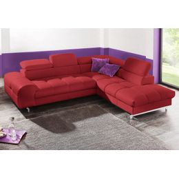 Ecksofa COTTA "Chef L-Form", rot, B:257cm H:72cm T:206cm, Luxus-Microfaser (100% Polyester);Kunstleder Softlux;Leder Advantage (abgedecktes Spalt-Rindsleder), R&uuml;ckseite mit schwarzem Spannstoff bezogen;NaturLEDER (echtes Rindsleder), R&uuml;ckseite mit schwarzem Spannstoff bezogen, Sofas, Ecksofa, mit Kopfteilverstellung, edle Metallkufen, wahlweise mit Bettfunktion