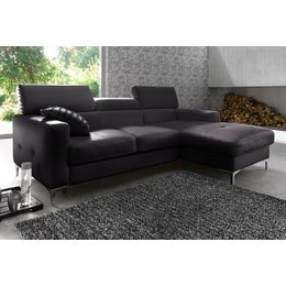 Ecksofa COTTA "Sammy L-Form", schwarz, B:226cm H:92cm T:105cm, Microfaser PRIMABELLE (100% Polyester);NaturLEDER in Sitz und R&uuml;cken/Kunstleder im Korpus;NaturLEDER (echtes Rindsleder), R&uuml;ckseite mit Spannstoff bezogen, Sofas, Ecksofa, mit Kopfteilverstellung, wahlweise mit Bettfunktion