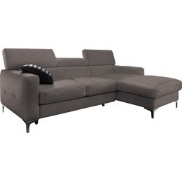 Ecksofa COTTA "Sammy L-Form", grau, B:226cm H:92cm T:105cm, Microfaser PRIMABELLE (100% Polyester);NaturLEDER in Sitz und R&uuml;cken/Kunstleder im Korpus;NaturLEDER (echtes Rindsleder), R&uuml;ckseite mit Spannstoff bezogen, Sofas, Ecksofa, mit Kopfteilverstellung, wahlweise mit Bettfunktion