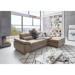 Ecksofa DIE PLANBAR "MP-IN16037 L-Form mit Kaltschaum-Polsterung", braun (mandel), B:289cm H:85cm T:195cm, 100% Polyester, Sofas, Ecksofa, mit Sitztiefenverstellung & Zierkissen