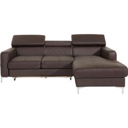 Ecksofa COTTA "Sammy L-Form", braun, B:226cm H:92cm T:105cm, Microfaser PRIMABELLE (100% Polyester);NaturLEDER in Sitz und R&uuml;cken/Kunstleder im Korpus;NaturLEDER (echtes Rindsleder), R&uuml;ckseite mit Spannstoff bezogen, Sofas, Ecksofa, mit Kopfteilverstellung, wahlweise mit Bettfunktion