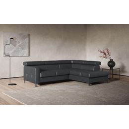 Ecksofa COTTA "Sammy L-Form", grau (fango), B:239cm H:74cm T:207cm, Microfaser Primabelle (100% Polyester);Die R&uuml;ckseite und die Liegefl&auml;che der Bettfunktion in NaturLEDER ist mit schwarzem Spannstoff bezogen, Sofas, Ecksofa, mit Kopfteilverstellung, wahlweise mit Bettfunktion & Bettkasten