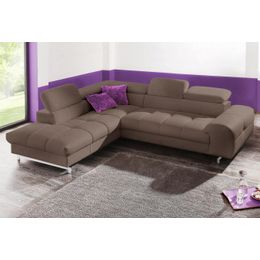 Ecksofa COTTA "Chef L-Form", braun, B:257cm H:72cm T:206cm, Luxus-Microfaser (100% Polyester);Kunstleder Softlux;Leder Advantage (abgedecktes Spalt-Rindsleder), R&uuml;ckseite mit schwarzem Spannstoff bezogen;NaturLEDER (echtes Rindsleder), R&uuml;ckseite mit schwarzem Spannstoff bezogen, Sofas, Ecksofa, mit Kopfteilverstellung, edle Metallkufen, wahlweise mit Bettfunktion