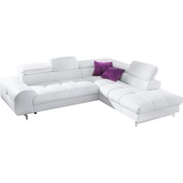 Ecksofa COTTA "Chef L-Form", wei&szlig; (altwei&szlig;), B:257cm H:72cm T:206cm, Luxus-Microfaser (100% Polyester);Kunstleder Softlux;Leder Advantage (abgedecktes Spalt-Rindsleder), R&uuml;ckseite mit schwarzem Spannstoff bezogen;NaturLEDER (echtes Rindsleder), R&uuml;ckseite mit schwarzem Spannstoff bezogen, Sofas, Ecksofa, mit Kopfteilverstellung, edle Metallkufen, wahlweise mit Bettfunktion