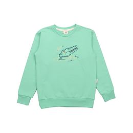 Walkiddy Sweatshirt in Gr&uuml;n - 53% | Gr&ouml;&szlig;e 104 | Kinder-sweatshirts-jacken