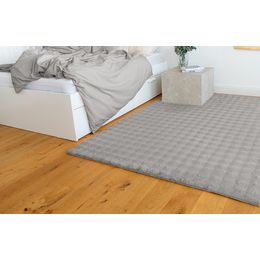 Teppich Padiro, B:160cm H:30mm L:230cm, grau, Polyester, Wohnzimmer, Teppiche, "Hailey 125", Softtouch