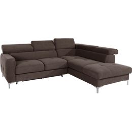 Ecksofa COTTA, B:242cm H:74cm T:207cm, braun, Struktur (100% Polyester );Chenille (90% Polyester; 10% Polyamid ), Wohnzimmer, Sofas, "Sammy L-Form",