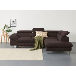 Ecksofa COTTA, B:268cm H:73cm T:214cm, braun, Kunstleder SOFTLUX;LEDER BEEFY (ein abgedecktes Spalt-Rindsleder) im Sitz und Rücken (Korpus in