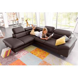 Ecksofa COTTA, B:268cm H:73cm T:214cm, braun, Kunstleder SOFTLUX;LEDER BEEFY (ein abgedecktes Spalt-Rindsleder) im Sitz und Rücken (Korpus in