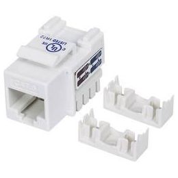 Intellinet 210591 RJ45-Einbaumodul Keystone CAT 6 1 St.