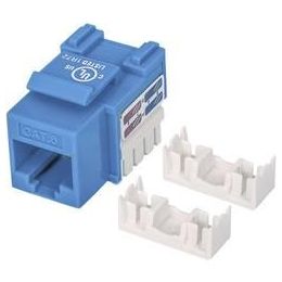 Intellinet 210737 RJ45-Einbaumodul Keystone CAT 6 1 St.