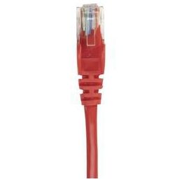 Intellinet 319065 RJ45 Netzwerkkabel, Patchkabel CAT 6a S/FTP 1.00 m Rot Einzelschirm, Gesamtschirm, Halogenfrei 1 St.