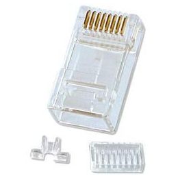 LINDY RJ45 Netzwerk Adapter Transparent