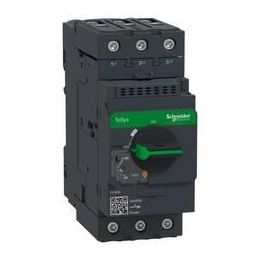 Schneider Electric GV3P80 Motorschutzrelais 1 St. (B x H x T) 55 x 132 x 136 mm