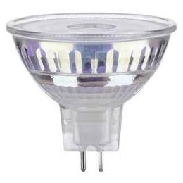 Paulmann 29141 LED EEK F (A - G) GU5.3 3.8 W Warmwei&szlig; (&Oslash; x H) 50 mm x 44 mm 1 St.