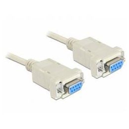 Delock USB Anschlusskabel RJ45 3 m Beige 84169 DVI-Kabel