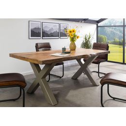 Baumtisch Mango 220x100x77 natur lackiert / X-Beine silber matt FREEFORM 5