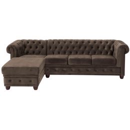 Chesterfield-Sofa Home Affaire "New Castle L-Form", grau (taupe), B:255cm H:72cm T:171cm, Sofas, hochwertige Knopfheftung in Chesterfield-Design, B/T/H: 255(171/72)
