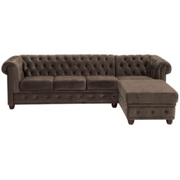Chesterfield-Sofa Home Affaire "New Castle L-Form", grau (taupe), B:255cm H:72cm T:171cm, Sofas, hochwertige Knopfheftung in Chesterfield-Design, B/T/H: 255(171/72)