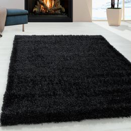 Hochflor-Teppich, B:240cm H:50mm L:340cm, schwarz, Ayyildiz Teppiche, Polypropylen (PP), Teppiche, "BRILLIANT 4200", L&auml;ufer, auch in rund, Langflor,