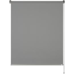 Sch&ouml;ner Wohnen Kollektion Seitenzugrollo, B:75cm H:150cm, grau, SCH&Ouml;NER WOHNEN-KOLLEKTION, Polyester, Rollos, "Tageslichtrollo Tizia"