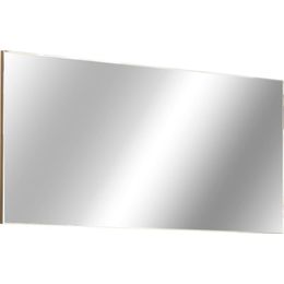 M&auml;usbacher M&Auml;USBACHER Garderobenspiegel "Debra", B/H/T: 118cm x 60cm x 2cm, silber, Spiegel