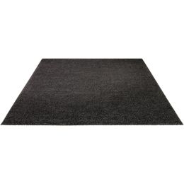 Hochflor-Teppich Esprit, B:40cm H:25mm L:60cm, grau, Polypropylen (PP), Teppiche, "Campus 2.0, ESP-0030", Shaggy, Langflor, weich, Wohnzimmer