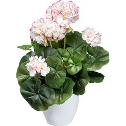 Kunstblume Creativ green, H:34cm Ø:20cm, rosa, Polyester, Kunstpflanzen, "Geranienbusch"