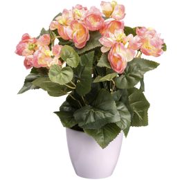 Kunstblume Creativ green, H:35cm, rosa, Obermaterial: 85% Polyester, 15% Polyethylen, Kunstpflanzen, "Begonienbusch"