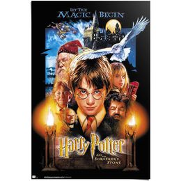 Poster Reinders, B:61cm H:91,5cm T:0,1cm, bunt, Papier, Küche, Bilder, "Harry Potter"